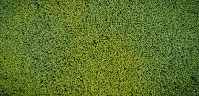 Senior Executive Roles in ESG Leadership | AP Executive